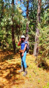Mt Kenya Summit: Hiking Through Sirimon Gate to Lenana Peak
