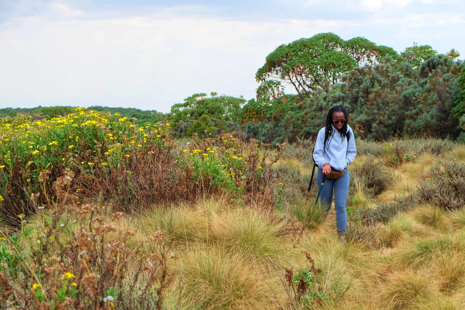 Mt Kenya Summit: Hiking Through Sirimon Gate to Lenana Peak